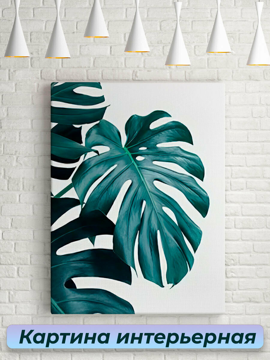 Картины для интерьера 20х30 Листья монстера