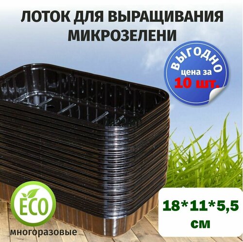 Лотки для выращивания свежей микрозелени черного цвета / 180*110*55 ...