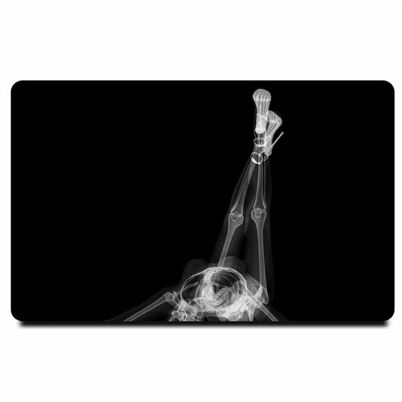 Магнит на холодильник "Эротическое фото через рентген" 54x86мм