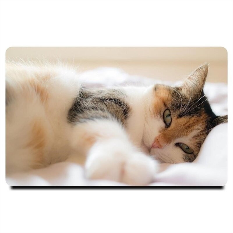 Магнит на холодильник "Котики" 10 шт.