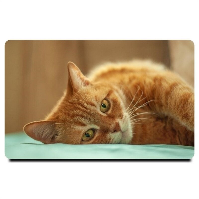 Магнит на холодильник "Котики" 5 шт.