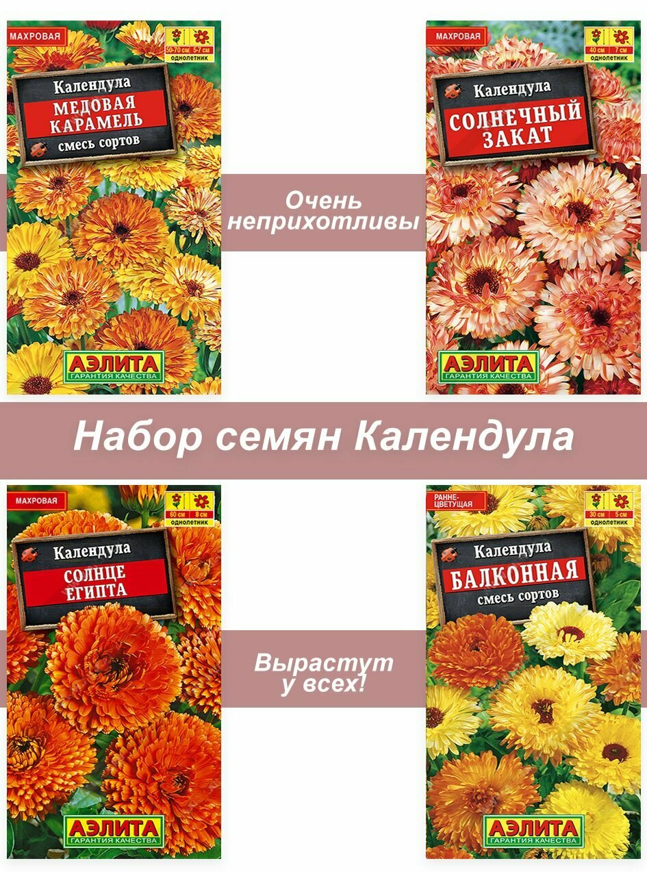 Набор семян, семена цветов Календула