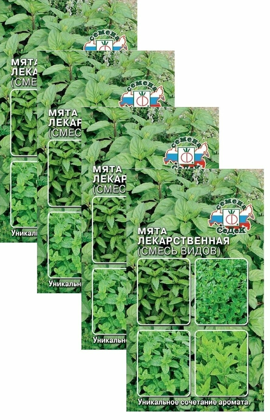Семена Мята лекарственная (смесь видов) 0,05 г (Седек), 4 пакетика * 0,05 г
