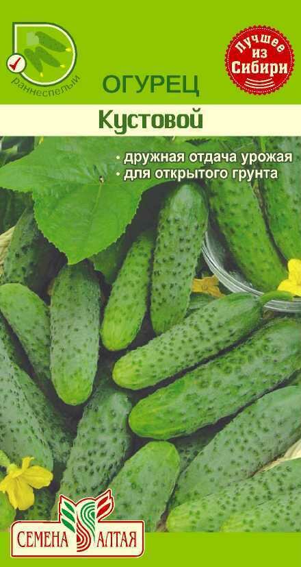 Семена огурцов "Кустовой" Семена Алтая, раннеспелость, урожайность до 12кг/м², 0,5 г