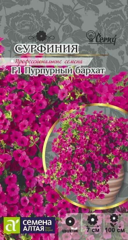 Семена сурфинии Семена Алтая "Пурпурный бархат" F1, ампельная, обильное цветение, 5шт