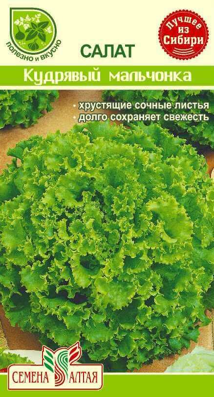 Семена Салат листовой Кудрявый Мальчонка 0,5 г (Семена Алтая)