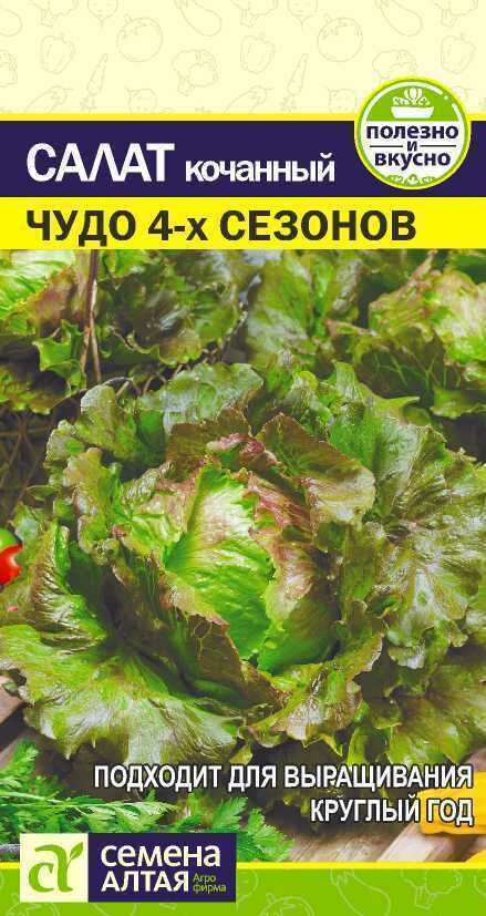 Набор семян кочанного салата Семена Алтая "Чудо 4 Сезона", 50г, комплект из 2 упаковок