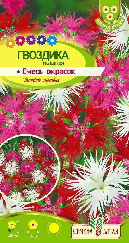 Семена Гвоздики "Пышная" от Семена Алтая, цветы, многолетние, 40см, 0,1 г