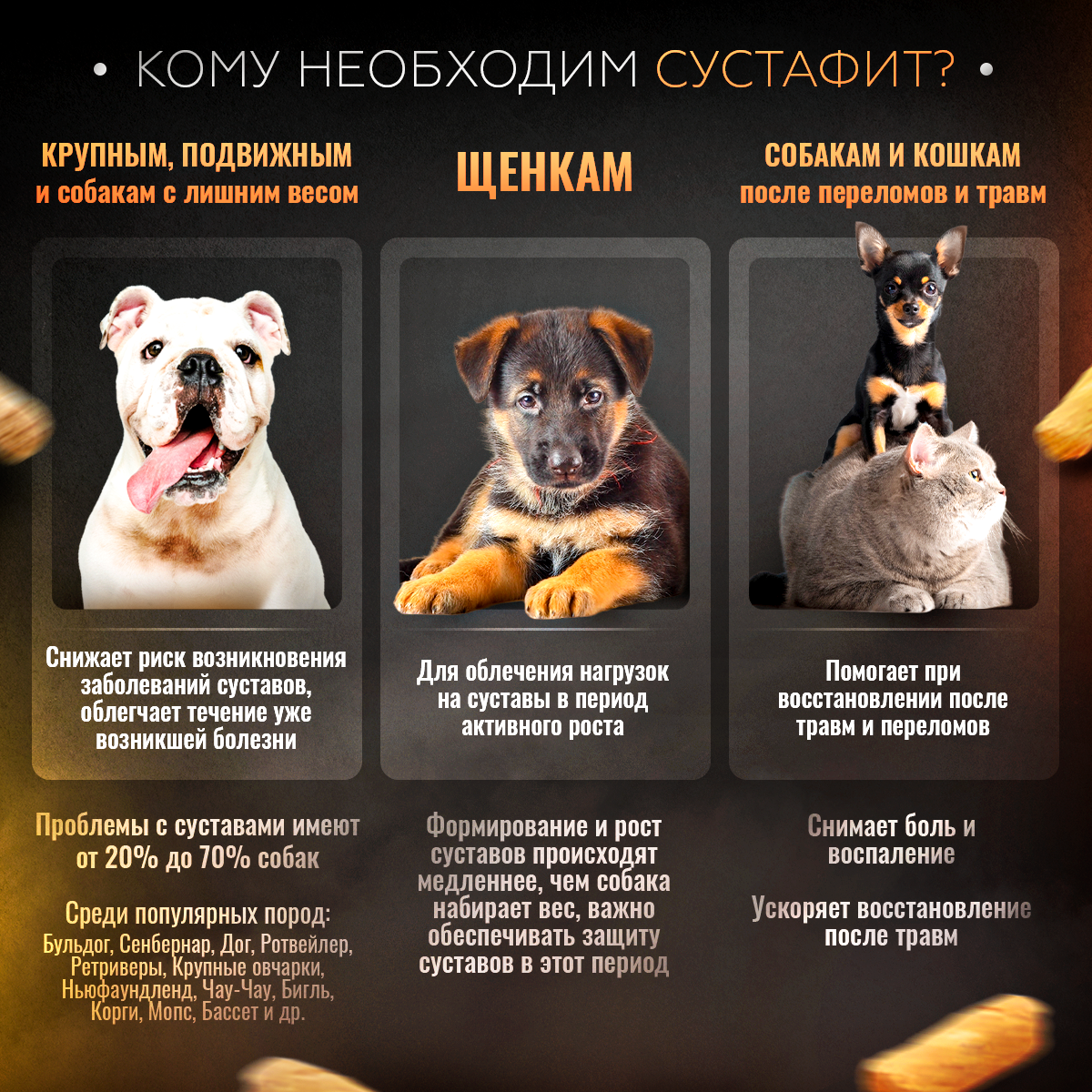 СустаФит, 200гр, кормовая добавка, хондропротектор для здоровья и подвижности суставов собак содержит ГАГ, МСМ, Глюкозамин, Хондроитин, Коллаген — фото 1