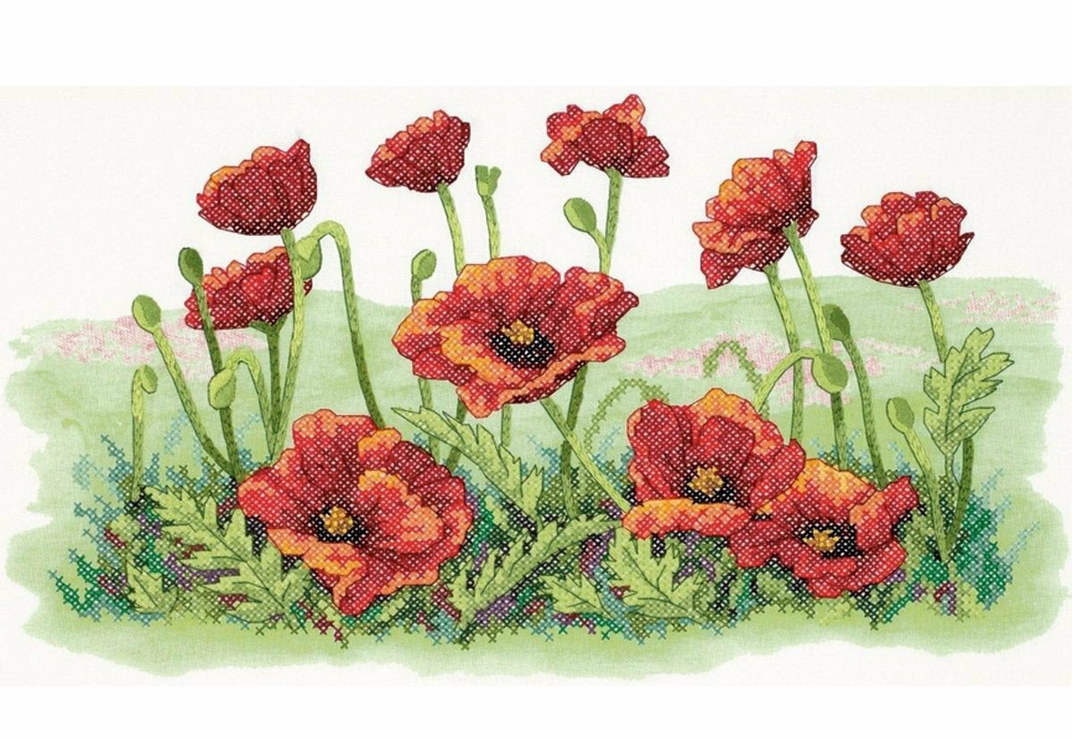 Маковое поле 3237