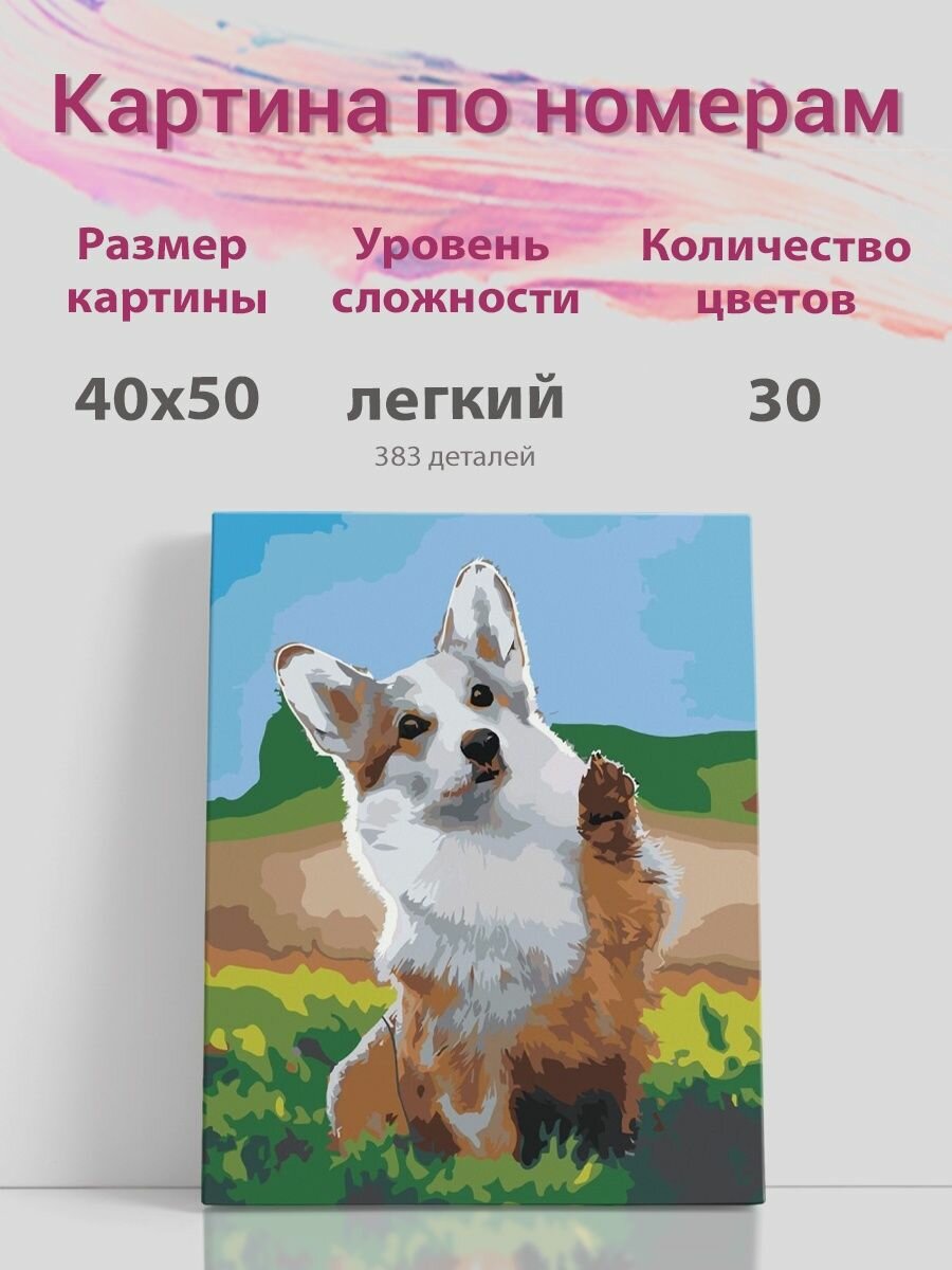 Картина по номерам на холсте с подрамником, Корги, 40х50 см