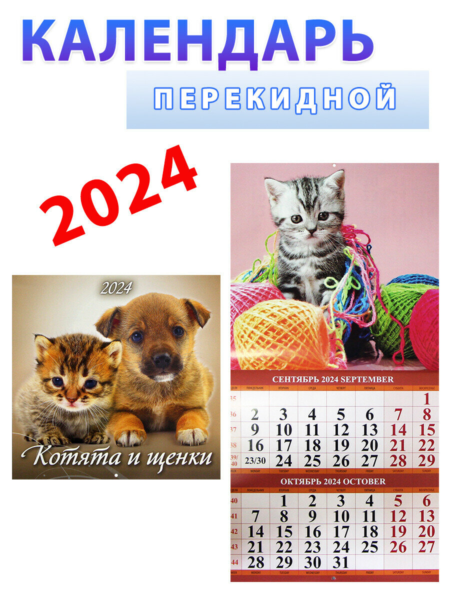 Календарь на 2024 год: "Котята и щенки" перекидной 285х285 мм