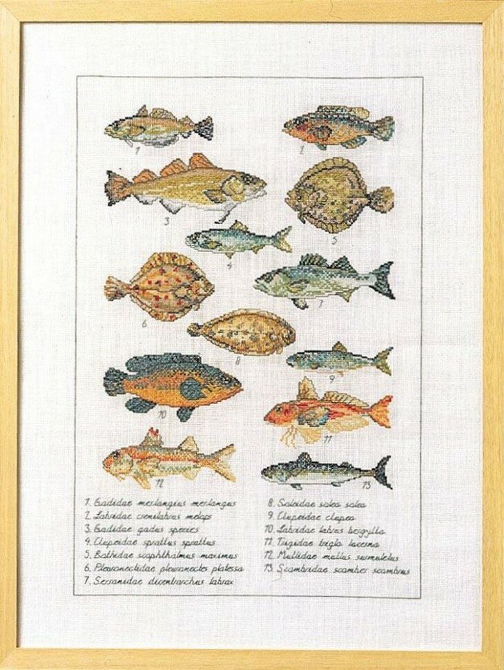 Набор для вышивания Permin #70-6408 Fish (Рыба), Счетный крест, 41 x 56 см