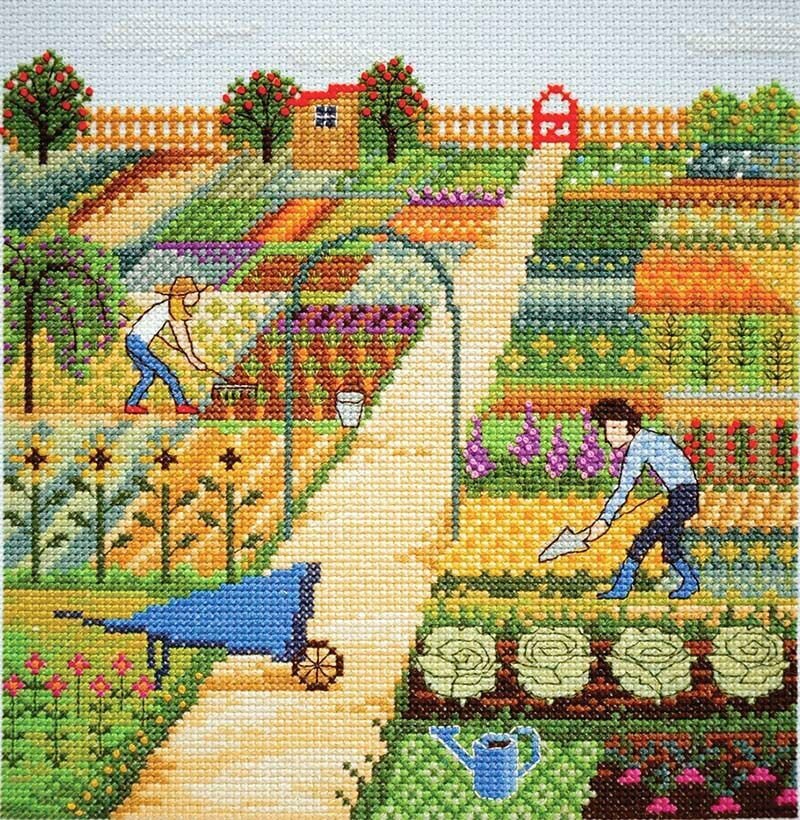 Дача. Урожай 11.005.01