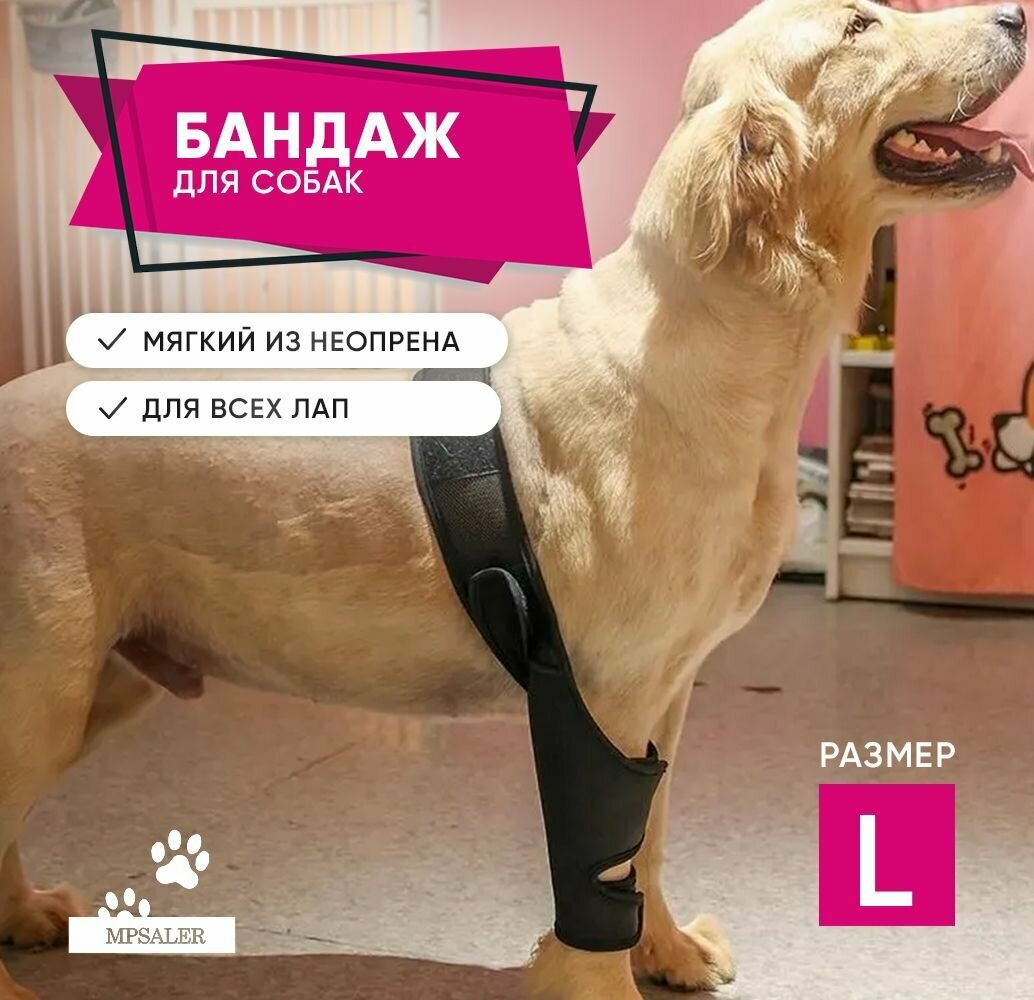 Бандаж для собак на заднюю и переднюю лапу. На локтевой и коленный сустав. Размер L