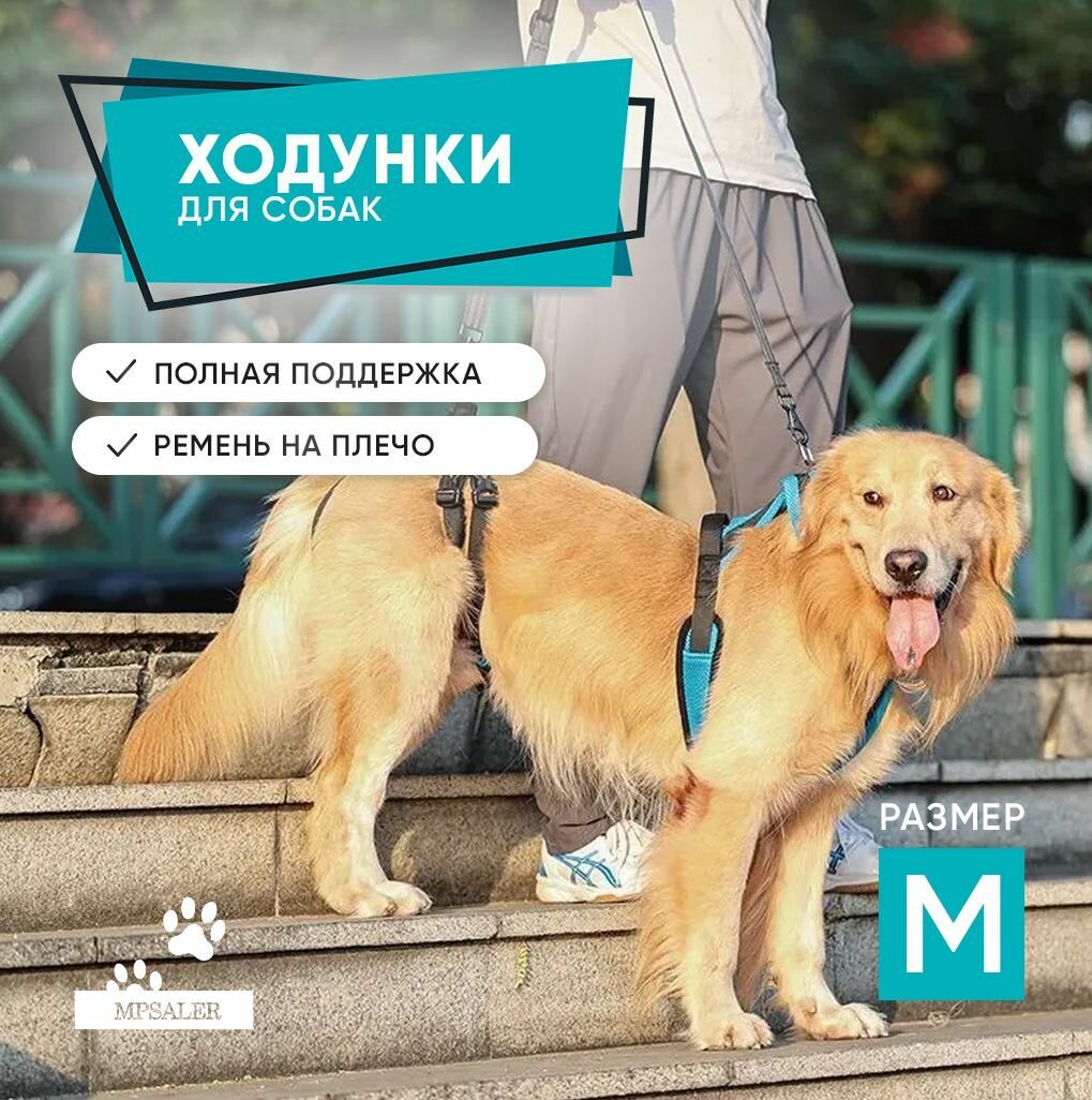 Ходунки для собак, пожилых и травмированных. Размер M.