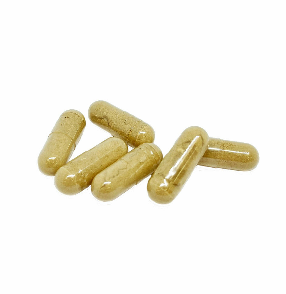 Best Dinner BD Nutrition Артрофит пищевая добавка для собак, для здоровья суставов - 60 капсул — фото 1