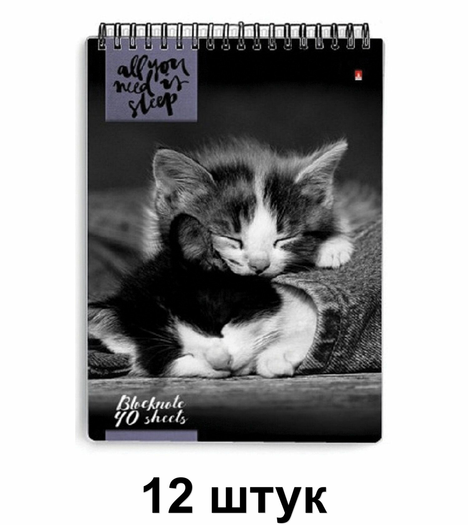 Альт Блокнот Кошки, А5, 40 л, 12 шт