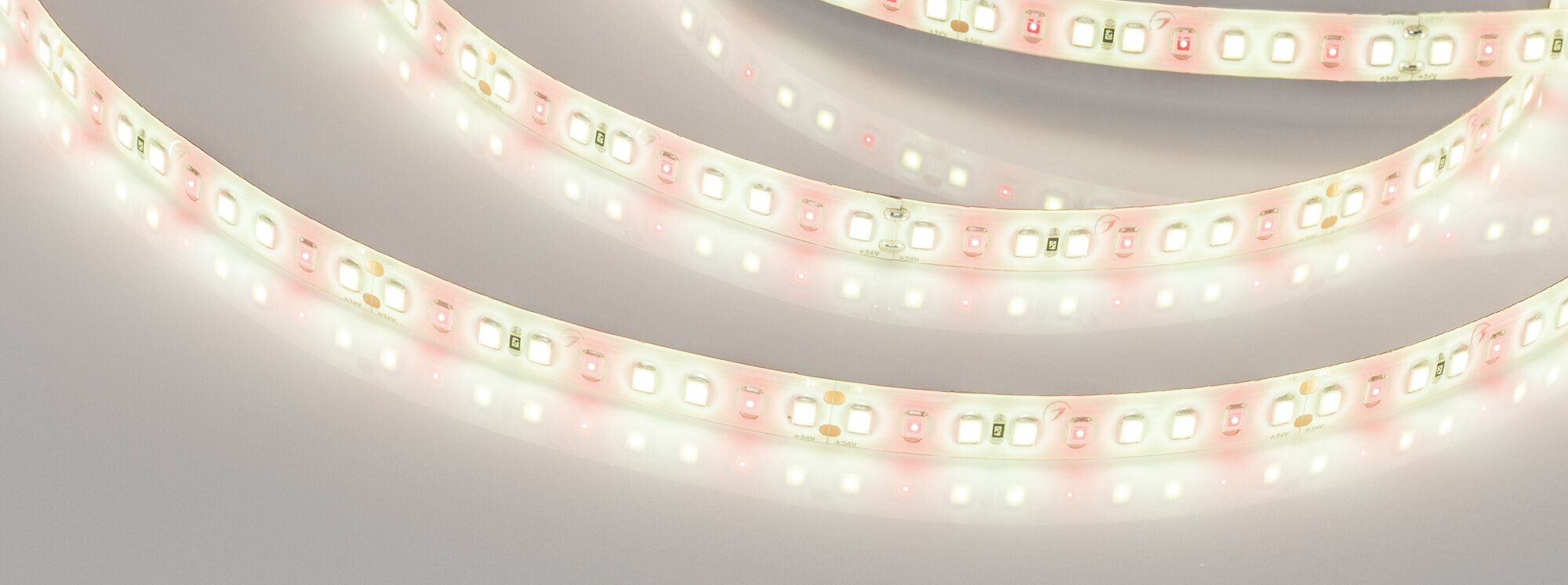 Лента FITOLUX-SE-A144-10mm 24V Day5000-Red (14 W/m, IP65, 2835, 5m) (Arlight, 14 Вт/м, IP65)