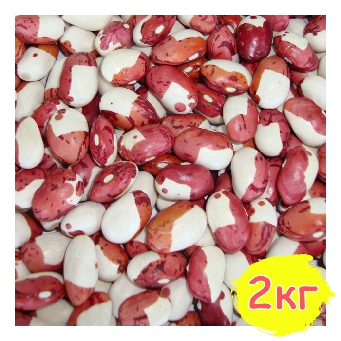 Фасоль Пионер 2 000 гр, 2 кг, Фасоль красно-белая, Фасоль очищенная натуральная, Вегетарианский продукт, Vegan