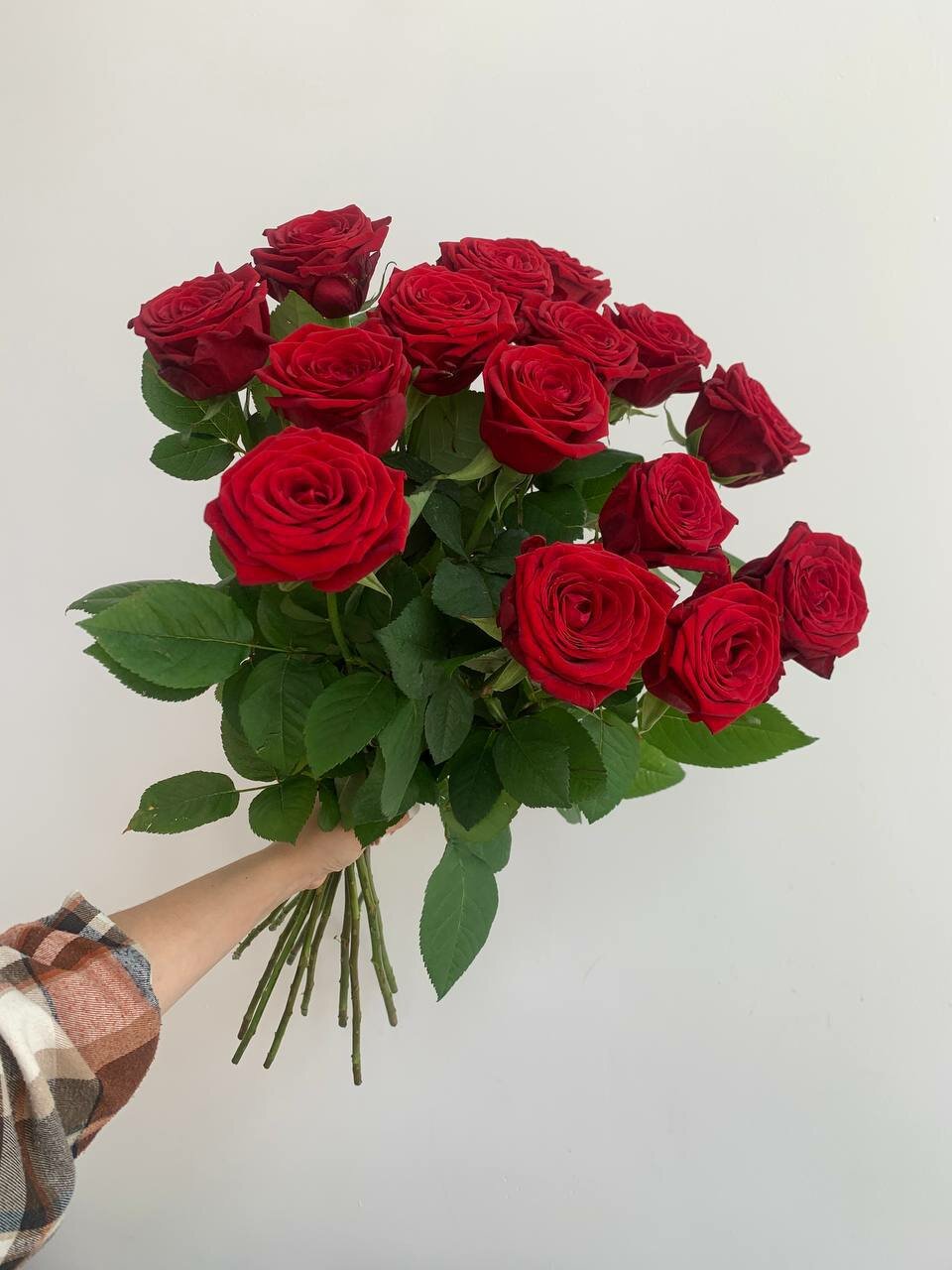 Живые цветы букет из красных роз , сорт Ред Наоми, 15 шт, 50см, под ленту