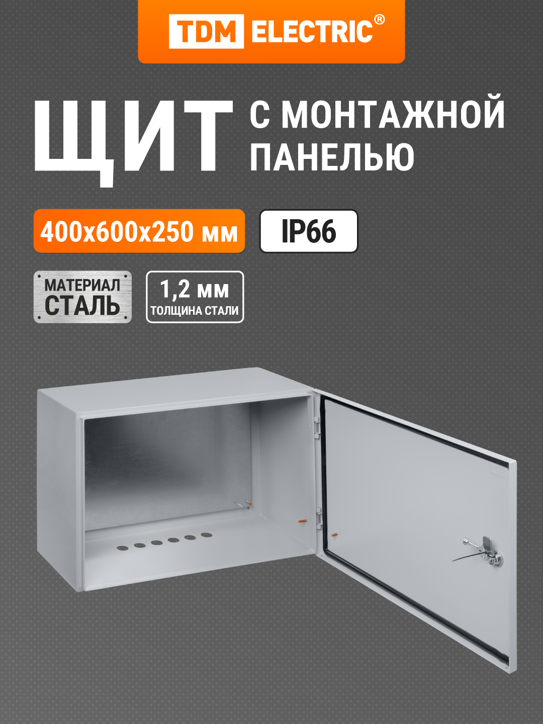 Щит электрический ЩМП-4.6.2-0 IP66 (400х600х250) TDM ELECTRIC