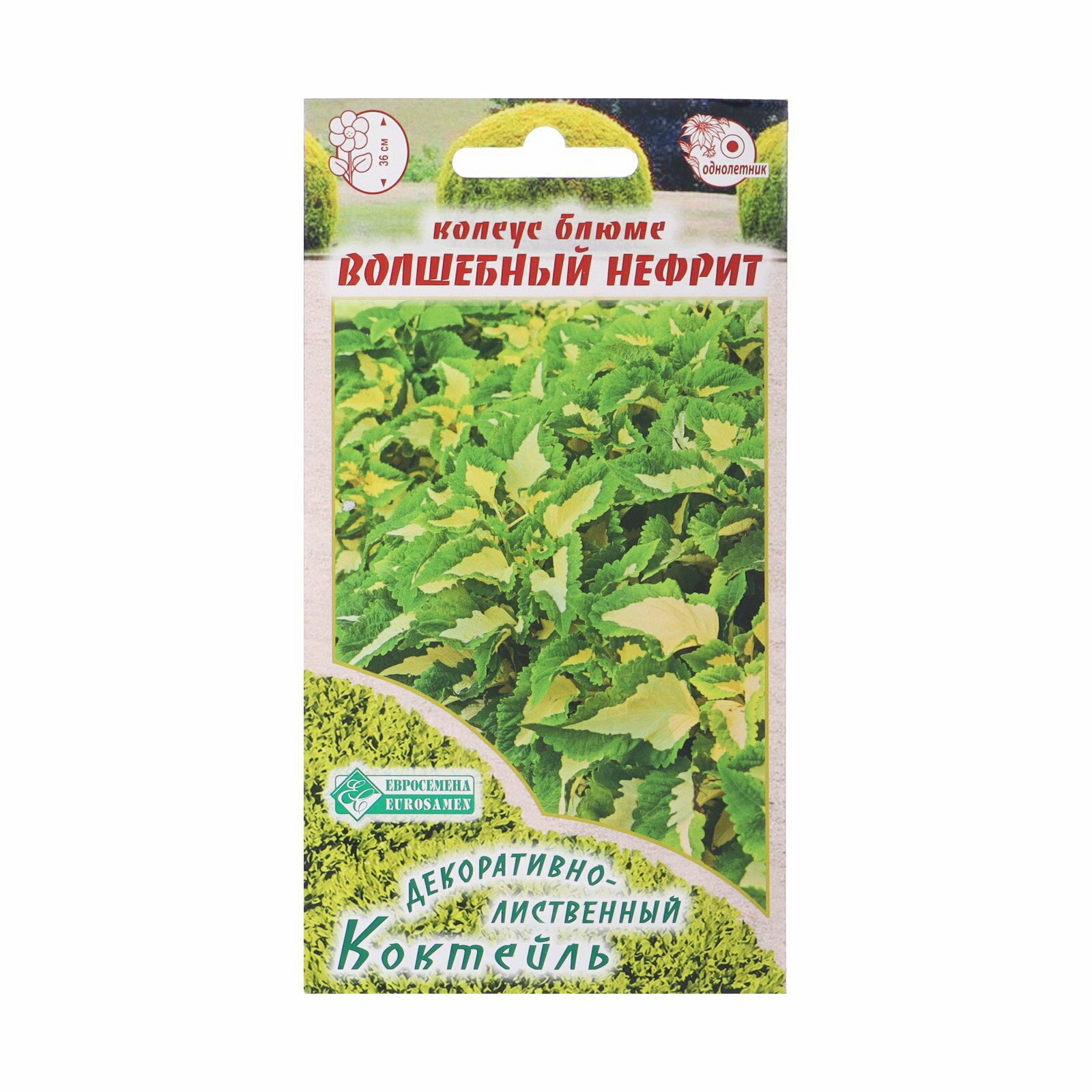 Семена цветов Колеус блюме "Волшебный Нефрит", 10 шт, по форме куста: ампельная