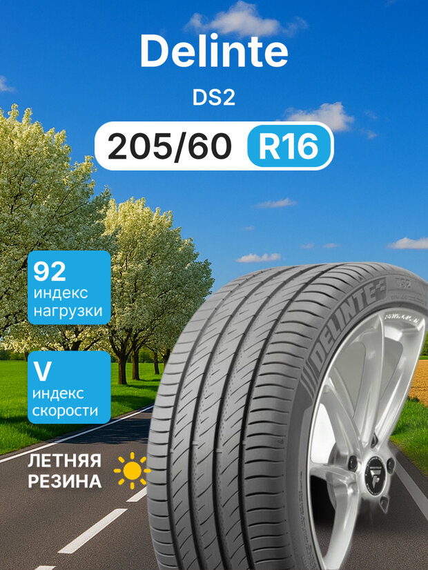 Летняя шина Delinte DS2 205/60 r16 92V