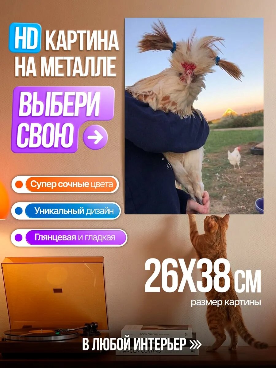 Картина на HD металле Курица с хвостиками