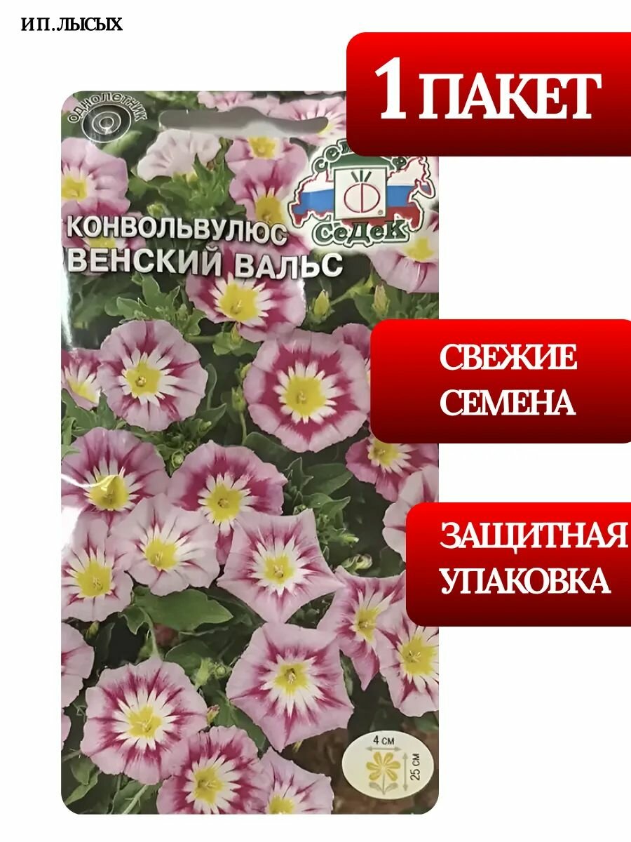Семена Конвольвулюс "Венский Вальс"