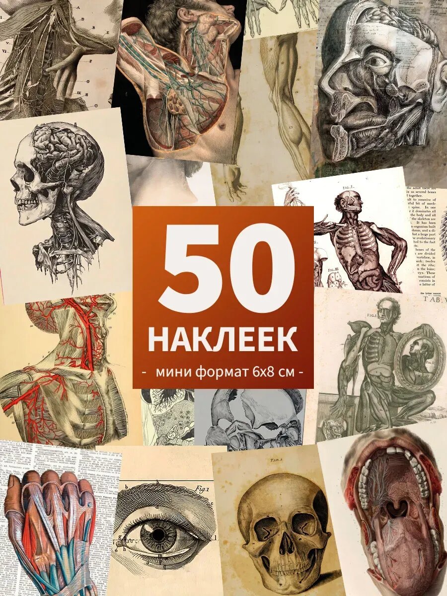 Наклейки ретро, стикеры анатомия винтаж