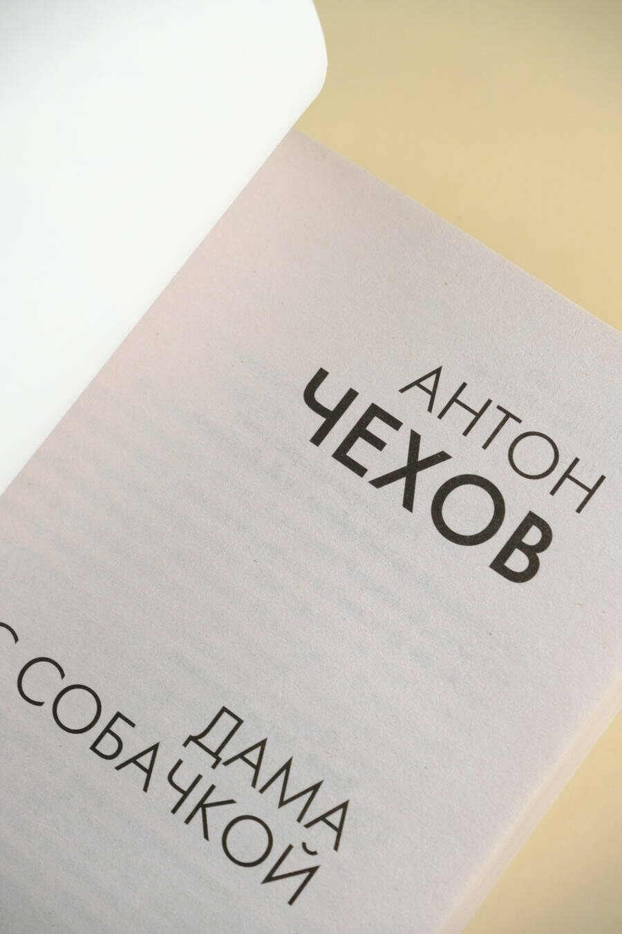 Дама с собачкой — фото 1