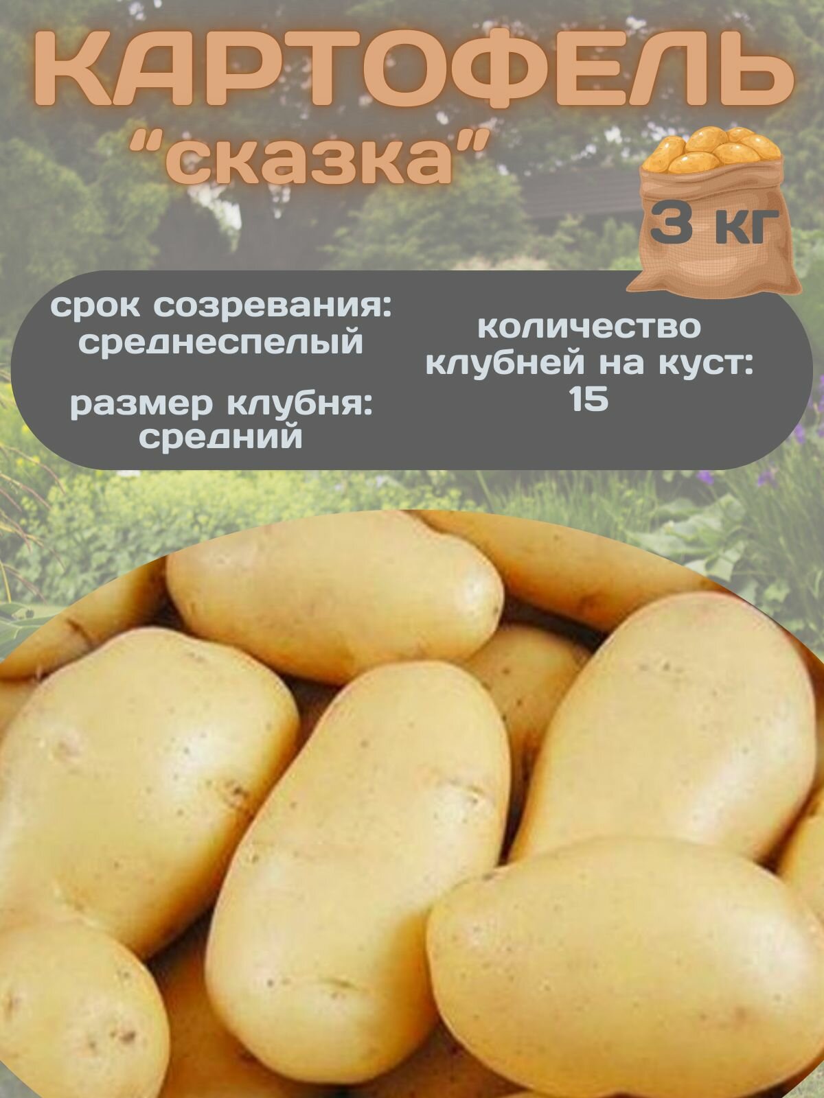 Картофель семенной Сказка 3 кг, на посадку