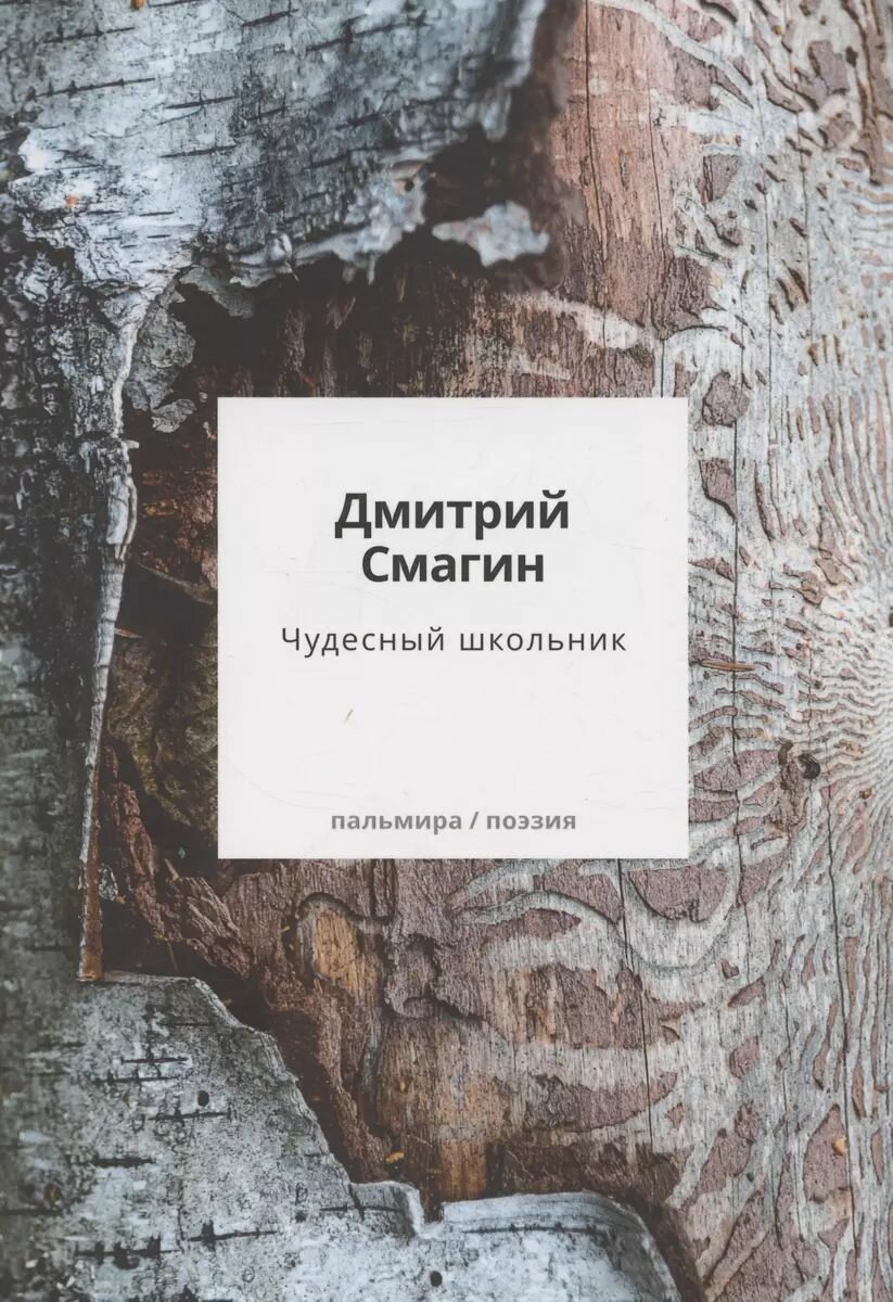 Книга RUGRAM_Publishing Чудесный школьник: сборник стихотворений. Смагин Д. Г, 2024