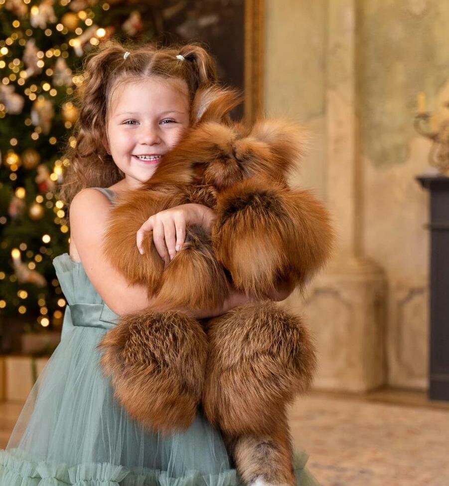Мягкая игрушка лиса большая Тедди Holich Toys из натурального меха Шерлок рыжий, мягкие игрушки, игрушки для детей, детские игрушки, игрушки для девочек, игрушки для мальчиков
