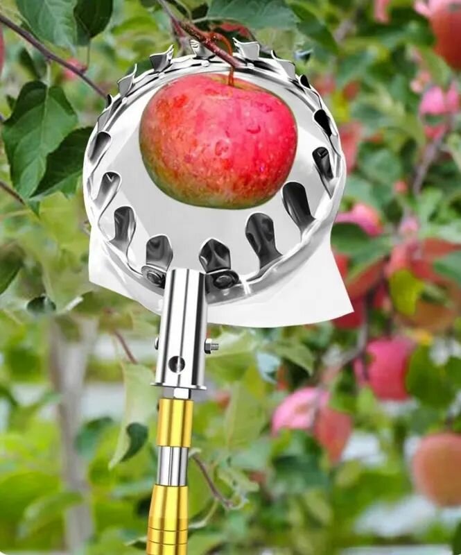 Fruitlike Плодосборник