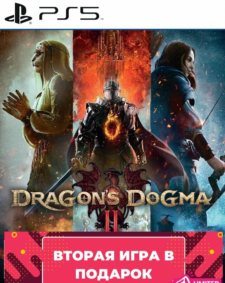 Игра Dragons Dogma 2