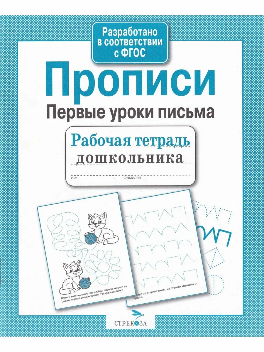 Первые уроки письма. Прописи. Рабочая тетрадь дошкольника