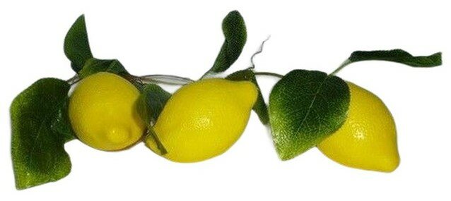Ветка муляжей "Лимоны"