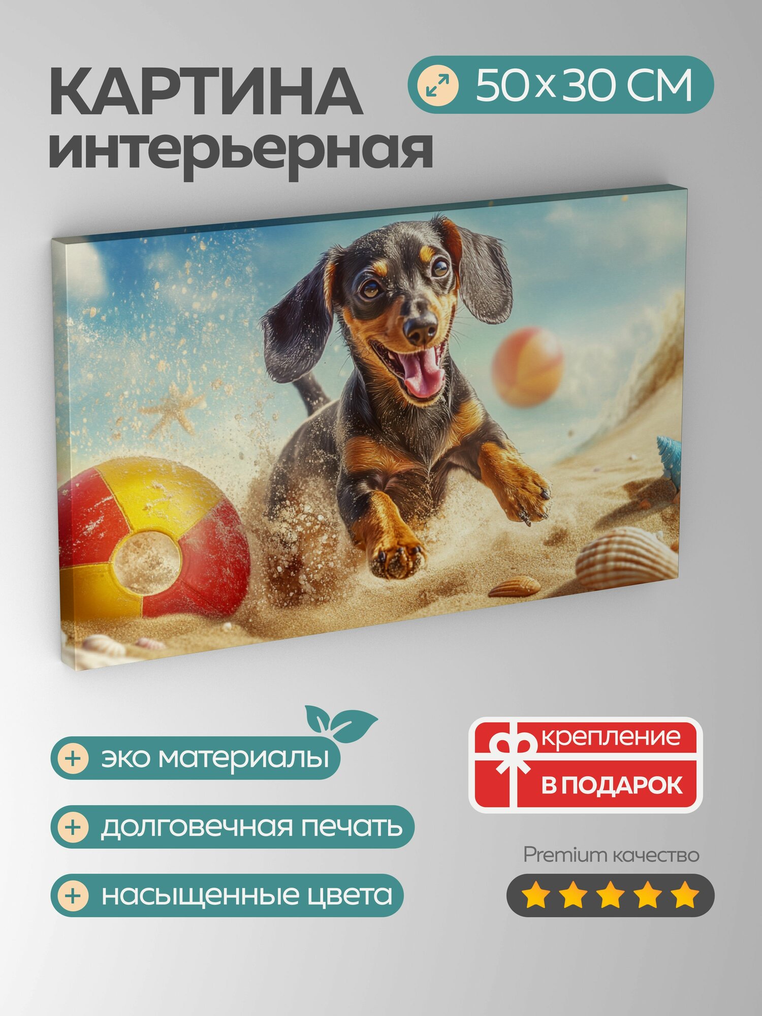 Картина на холсте интерьерная 50х30 см, такса, пляжные аксессуары, пляжный мяч, фрисби, песчаный берег, ракушки