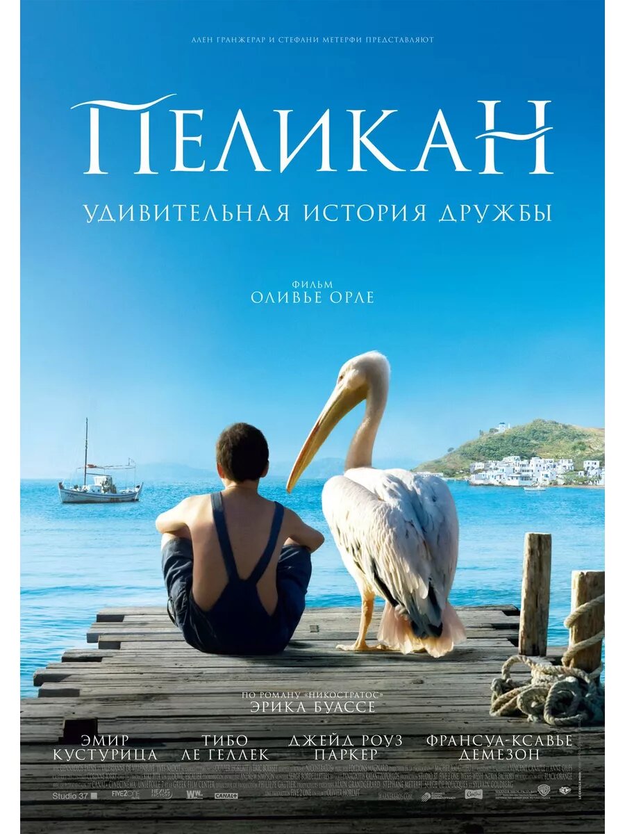 Пеликан (2011) (DVD-R)