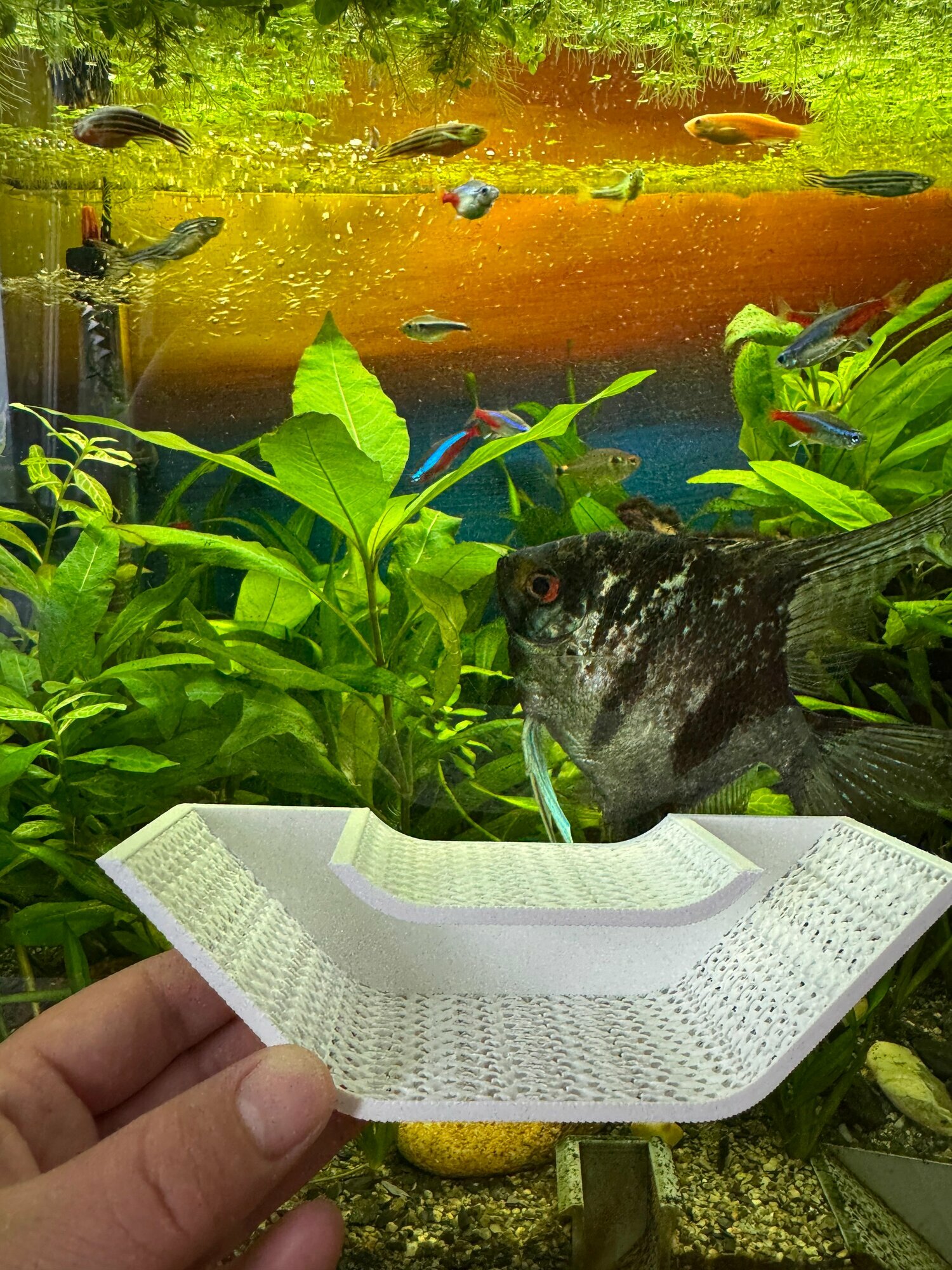 Сквозной тоннель 155 мм для аквариума укрытие для сомов и креветок