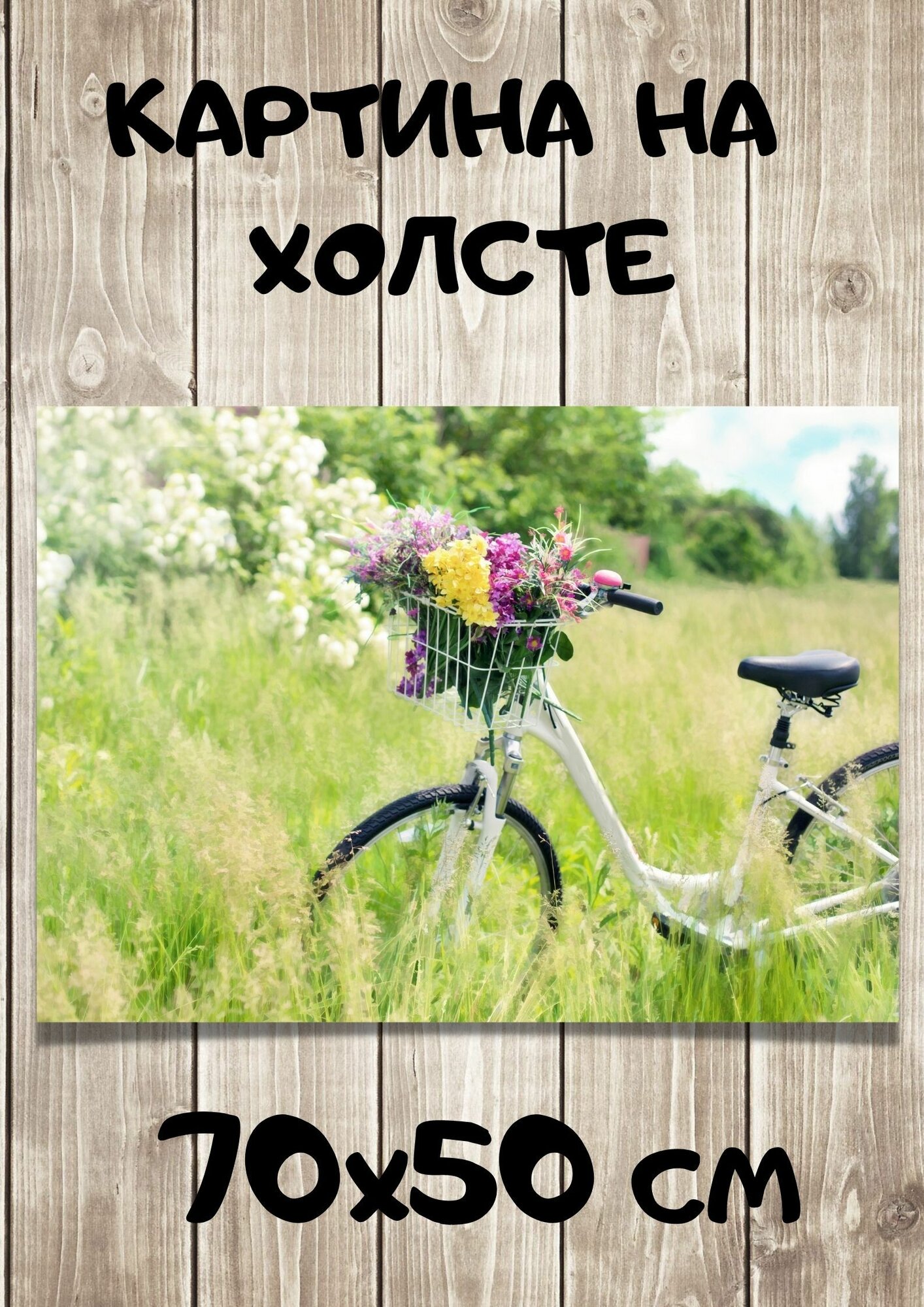 Картина летняя пора и солнце для интерьера на холсте / Велосипед в зеленом поле летом