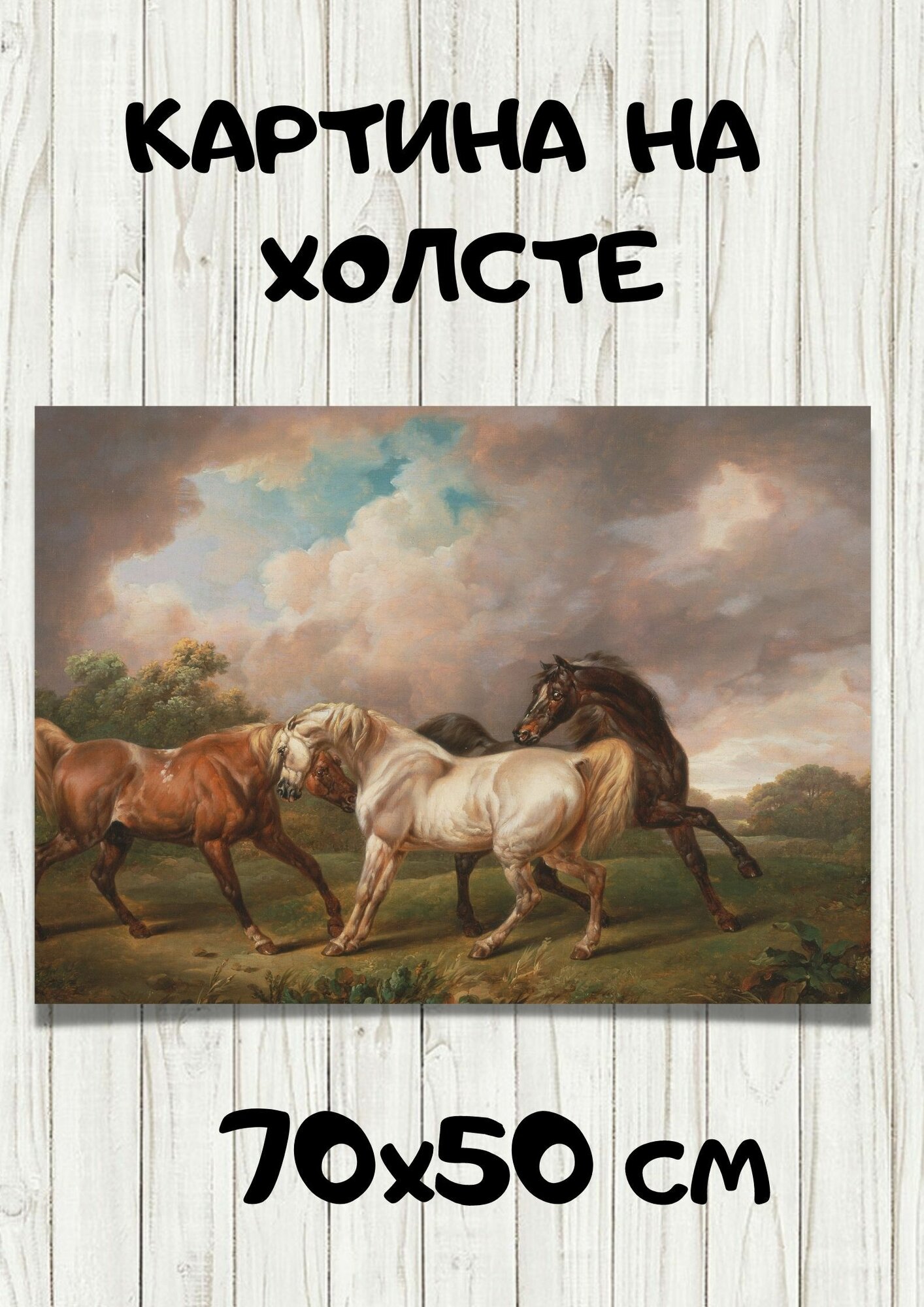 Картина с тремя конями в поле / Интерьерная готовая печать на холсте
