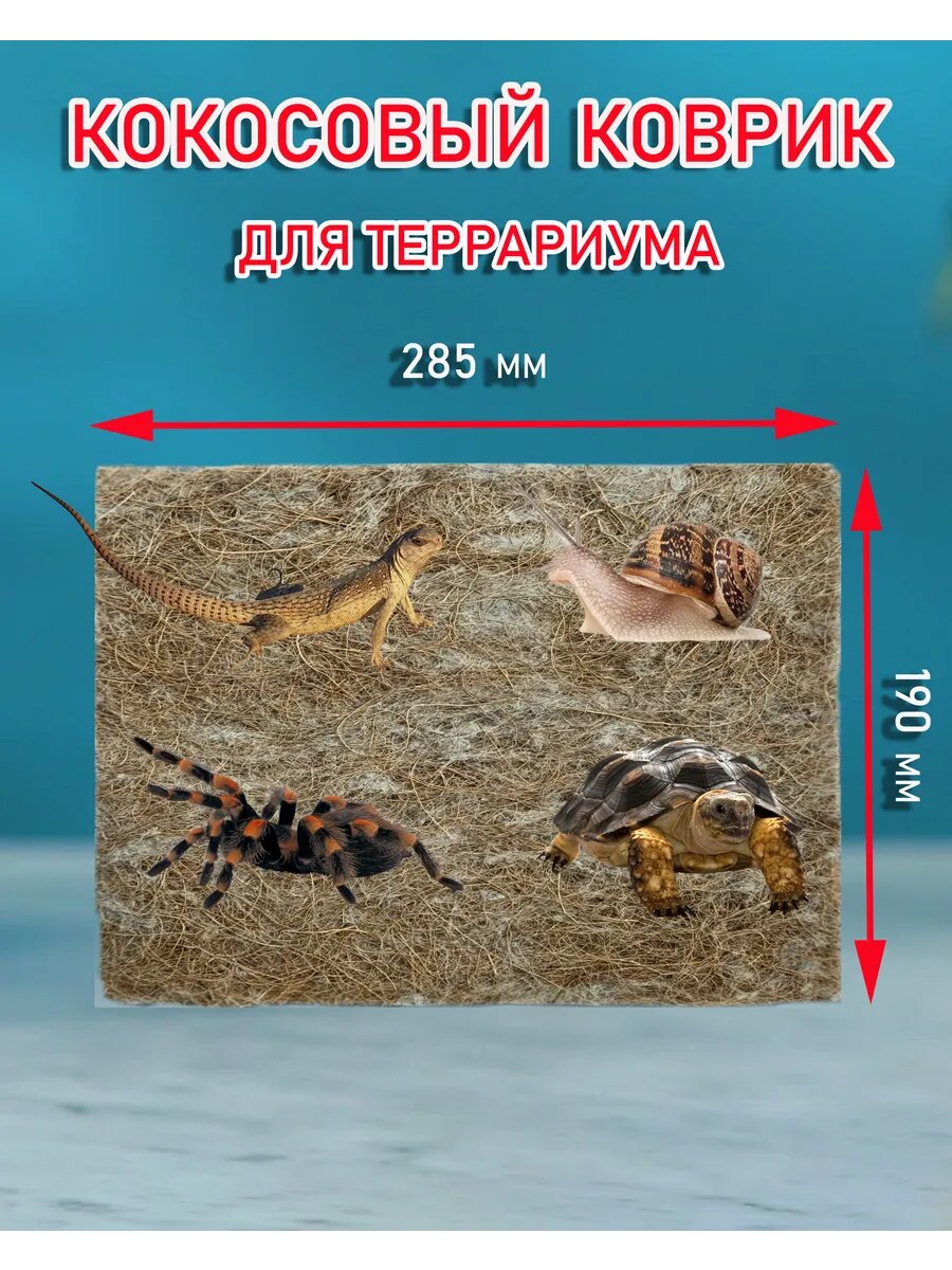 Коврик кокосовый, для террариума, влагопоглощающий, антибактериален, 28,5x19 см