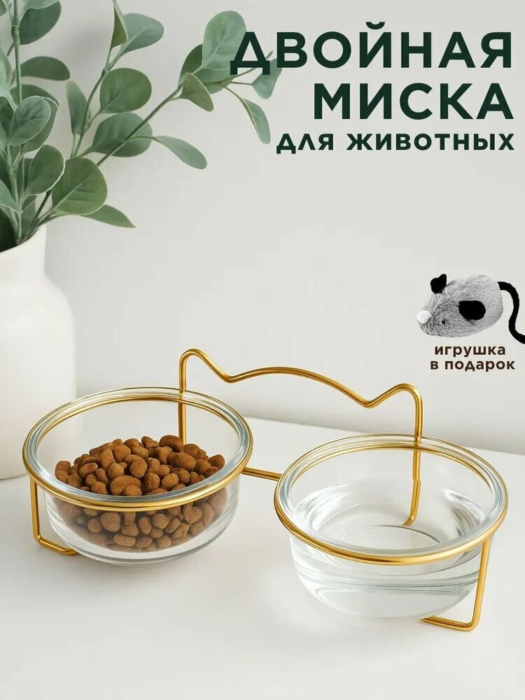 Двойная стеклянная миска для питья и корма для домашних животных с защитой от опрокидывания и высокой рамкой на ножках