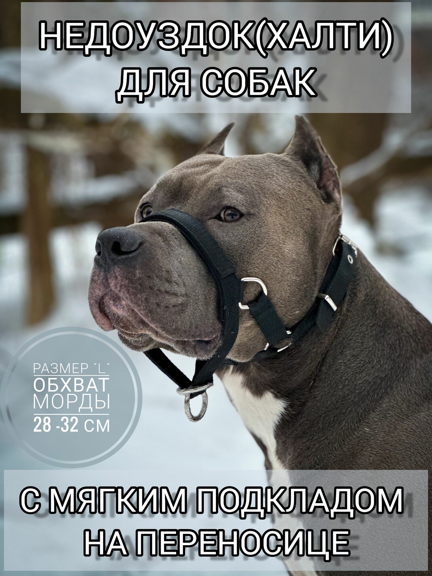 Недоуздок(халти) TESLA COLLAR для собак "L"