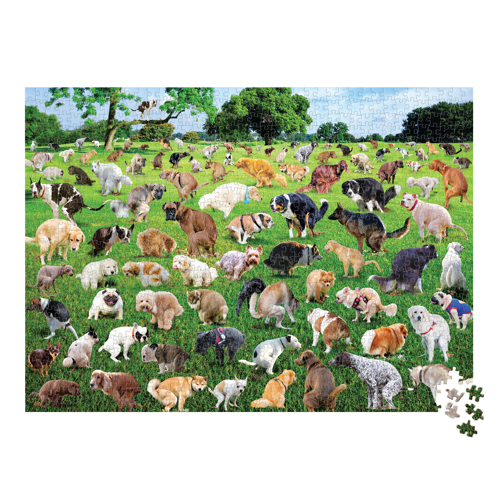 Пазл с собачьими какашками из 1000 предметов, пазл с самолетами из 101 предмета, пазл с декомпрессией для взрослых и детей