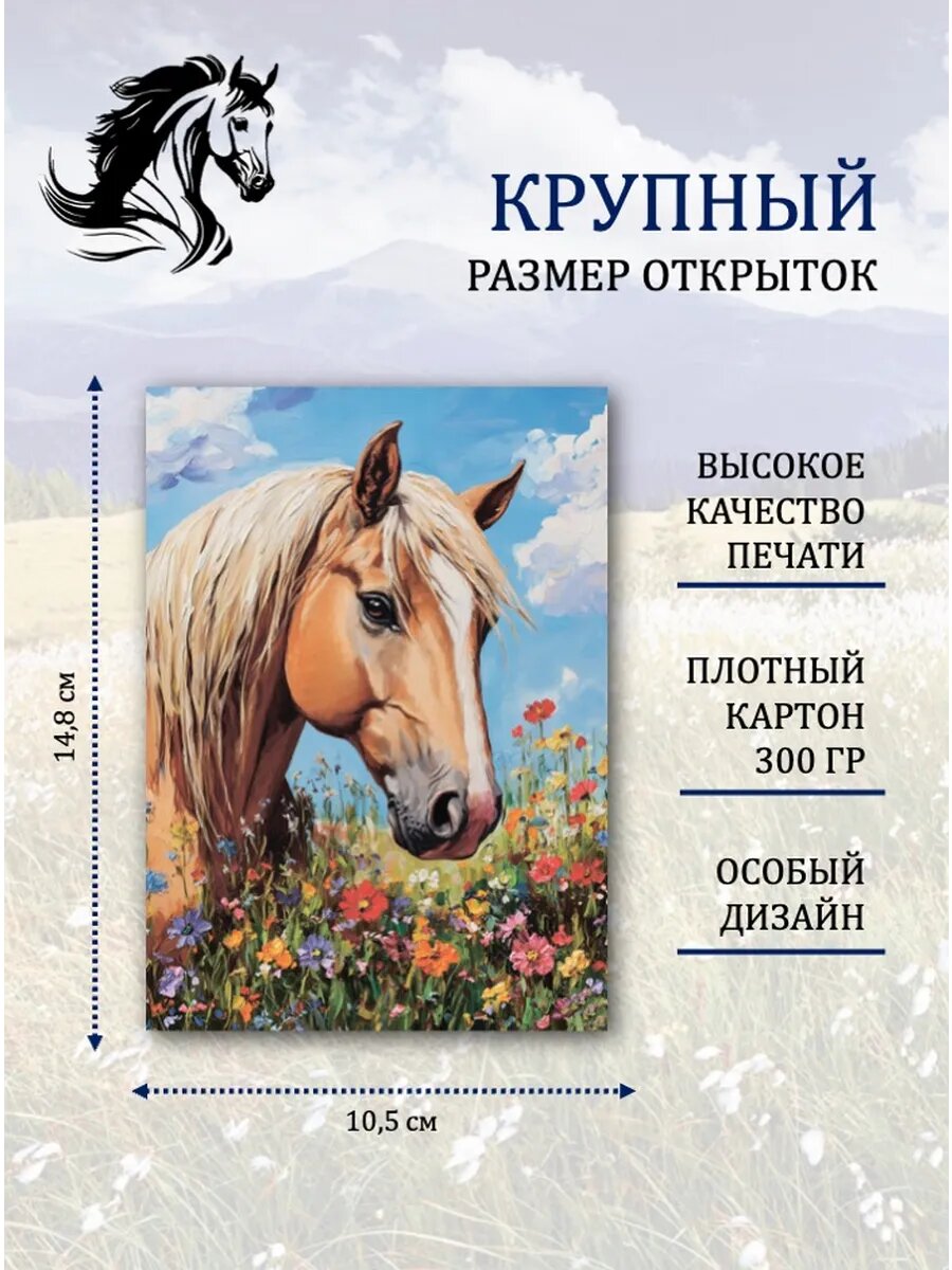 А6 Открытки лошади Самые лучшие большие открытки формата А6 в нашем мгазине Обнимай словами — фото 1