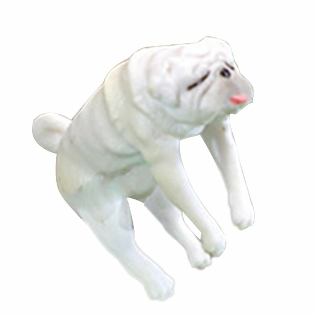 Рыбный аквариум акваскейп орнамент собака